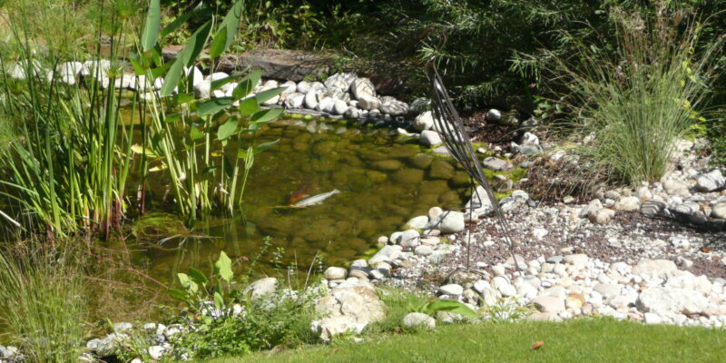 Aménagement paysager : Bassins & Arrosage avec Mercier Paysage